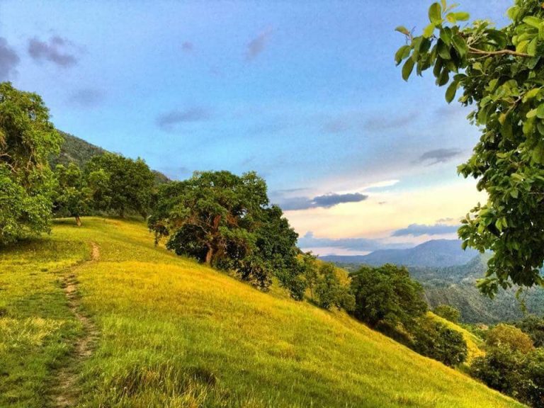 Level up your hiking experience, visit Mt. Lanaya | Cebu Philippines ...